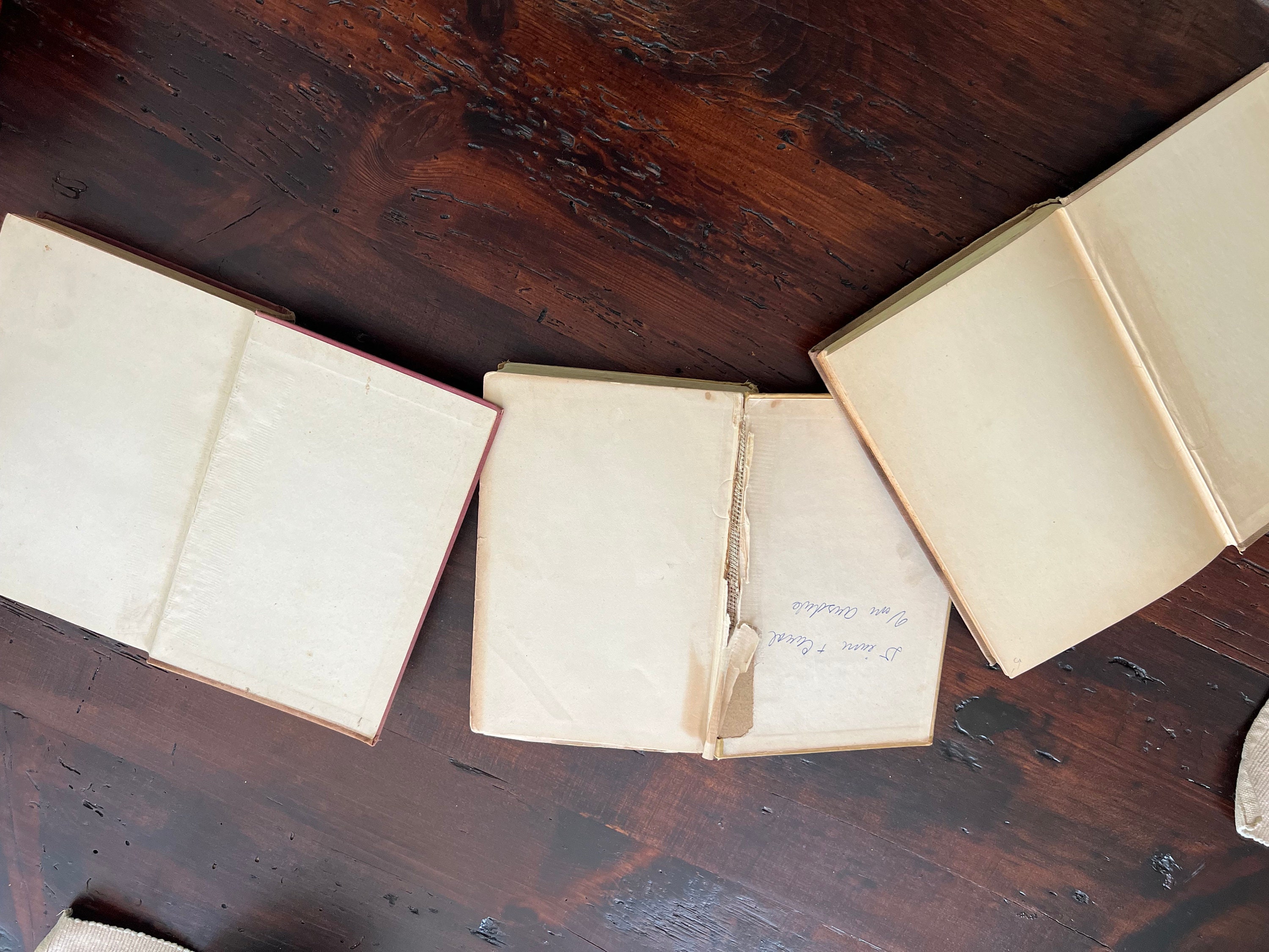 Curated Aesthetic Book Stack Shelf Décor Vintage Books - Etsy