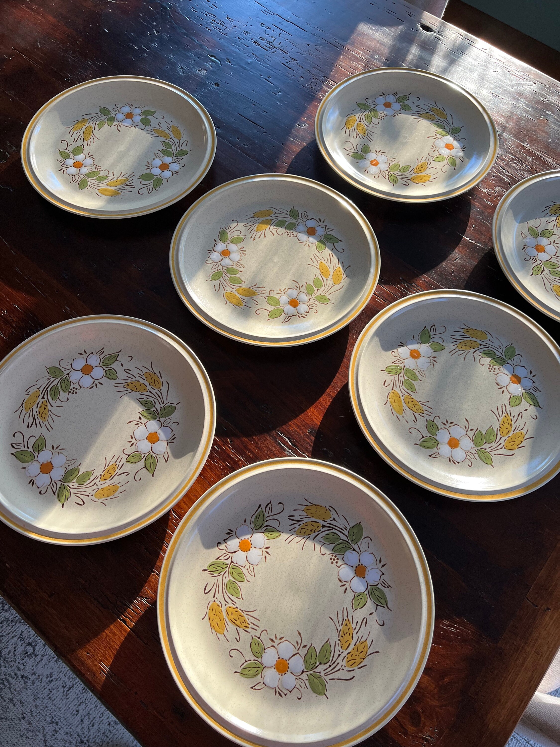MCM Hearthside Garden Festival Stoneware Vintage Dinner Plate Set ...