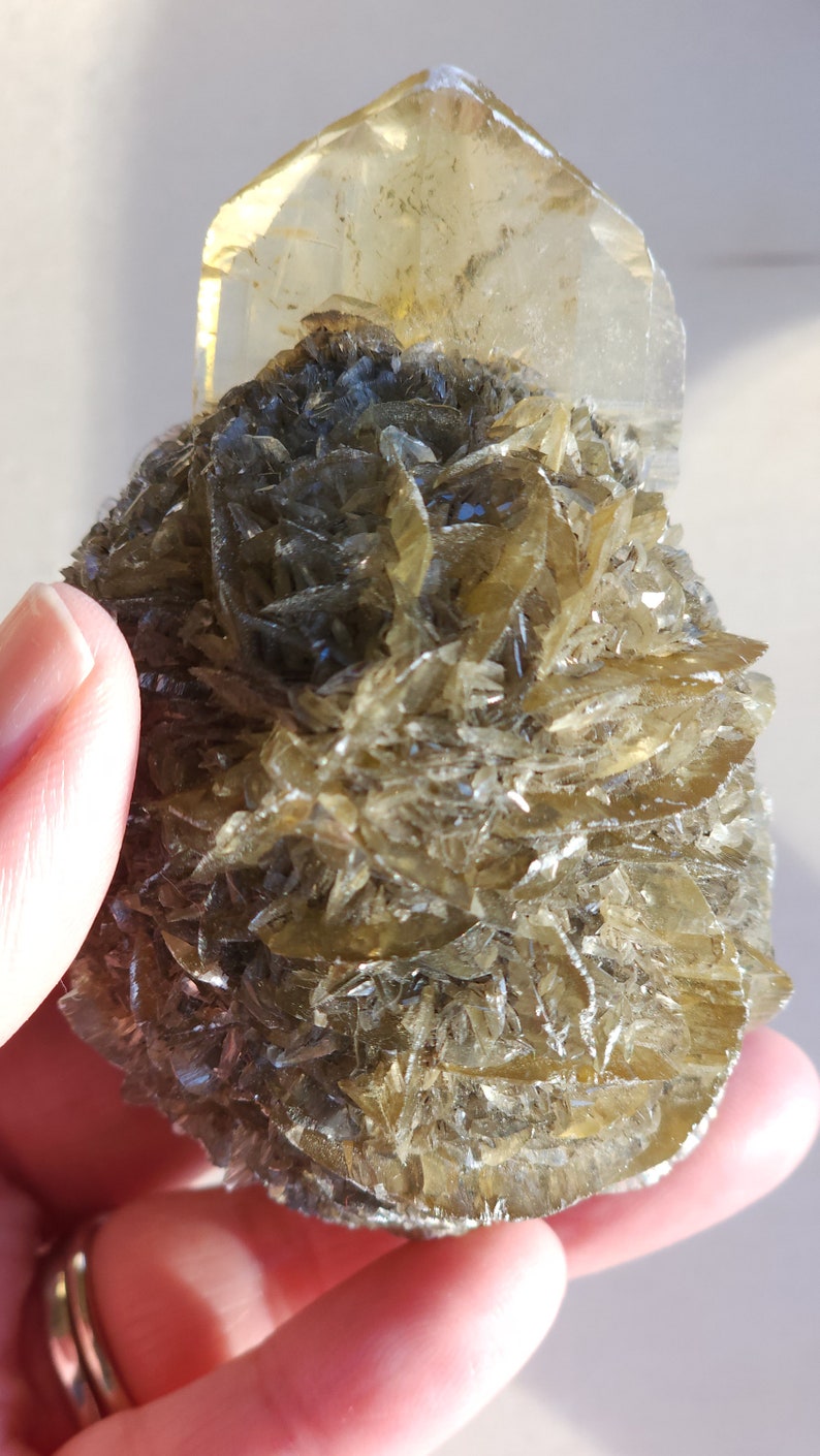 Incredible Rare Duckbill Selenite Collector Specimen | Fine Mineral ...