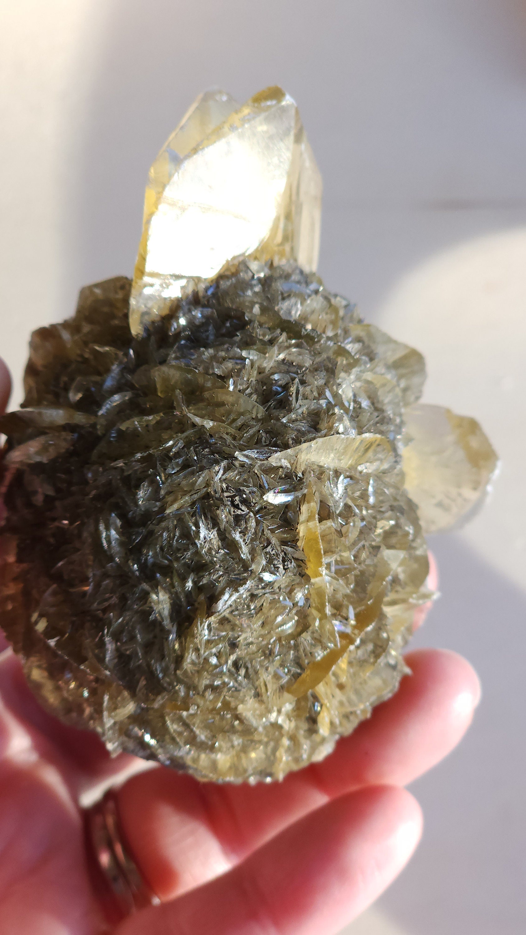Incredible Rare Duckbill Selenite Collector Specimen | Fine Mineral ...