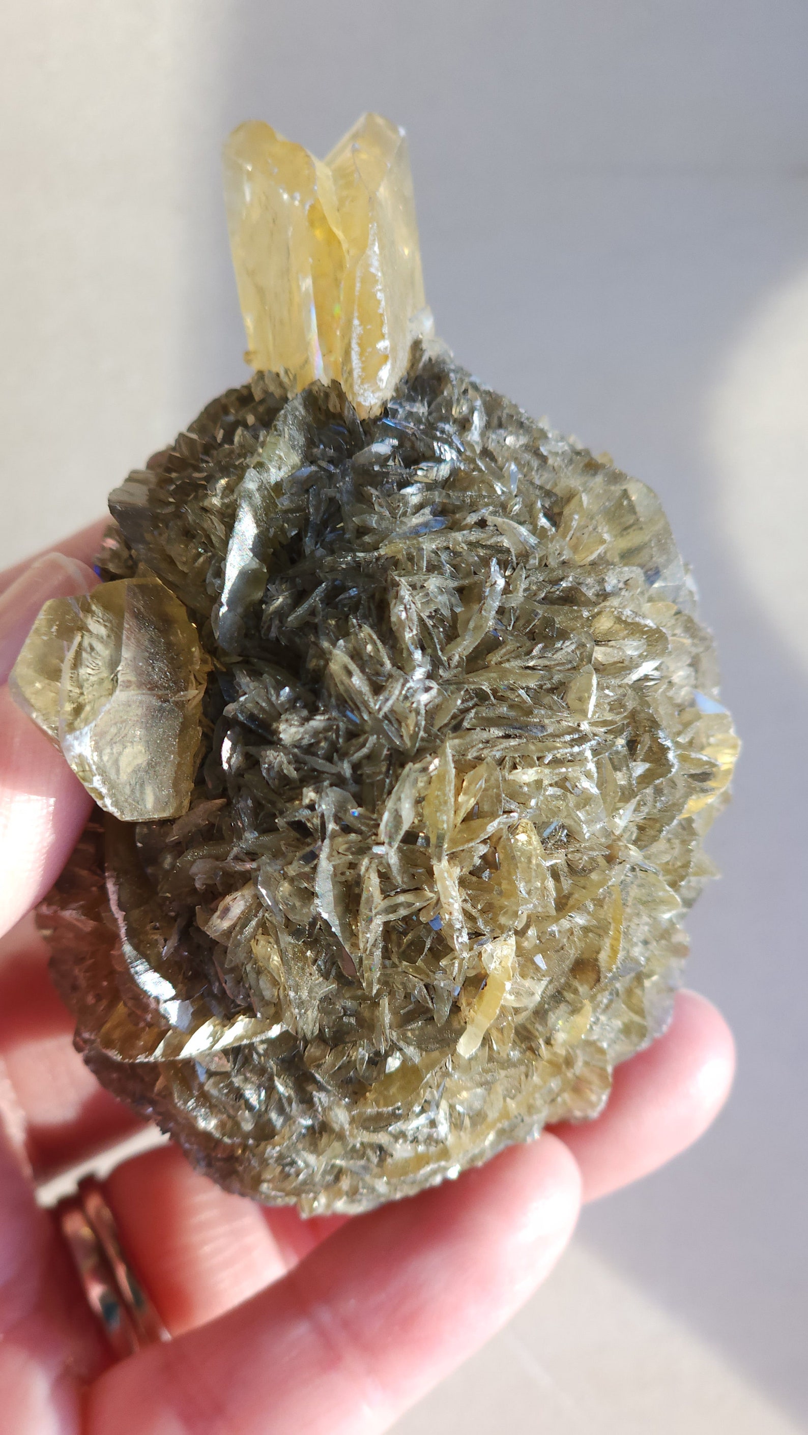 Incredible Rare Duckbill Selenite Collector Specimen | Fine Mineral ...