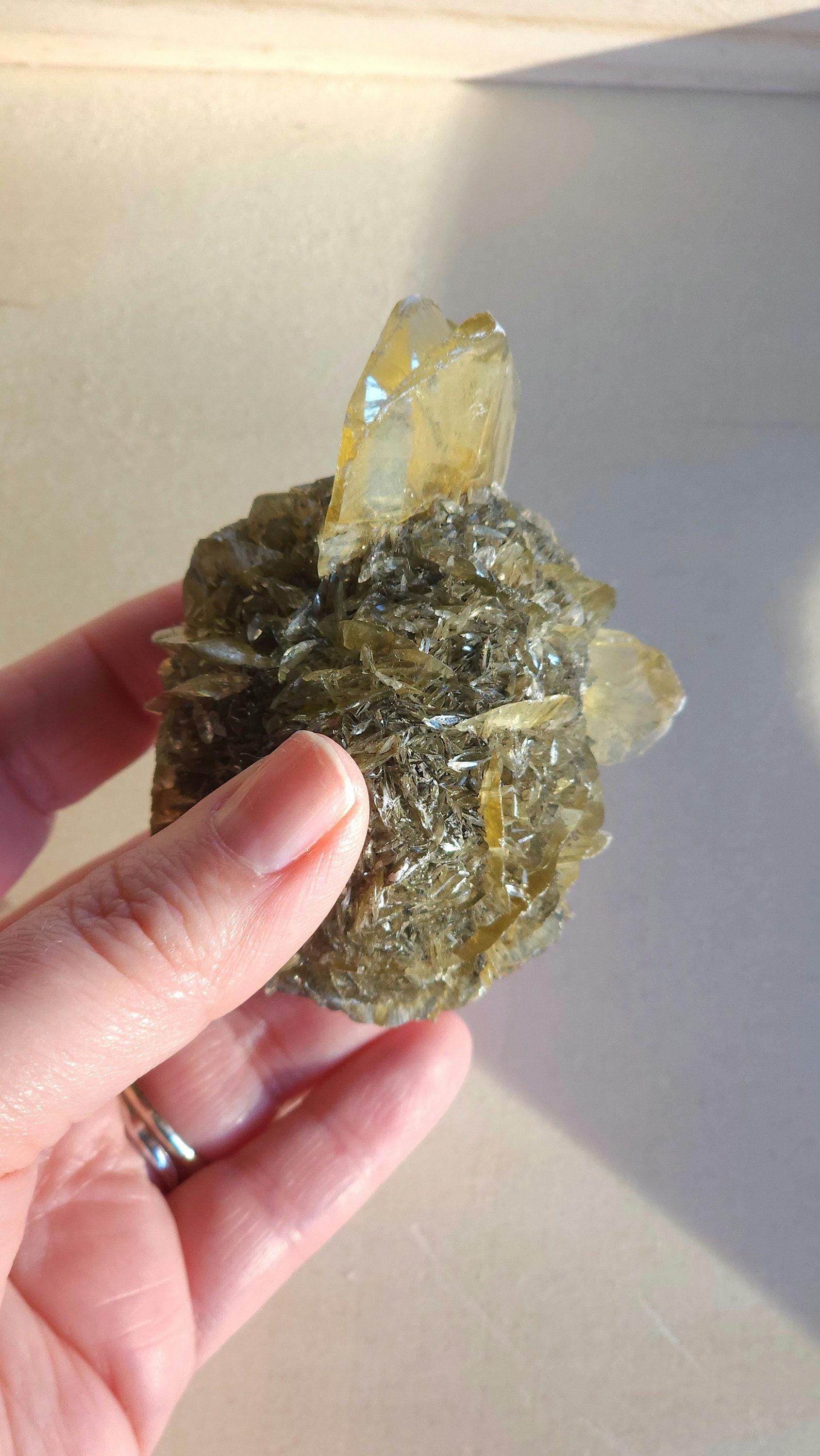 Incredible Rare Duckbill Selenite Collector Specimen | Fine Mineral ...