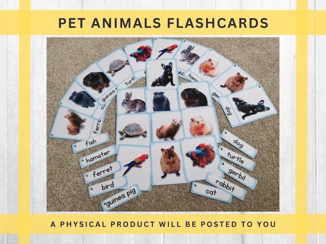 Montessori Inspired Pet Animal Flashcard | Early Years | Nomenclature ...
