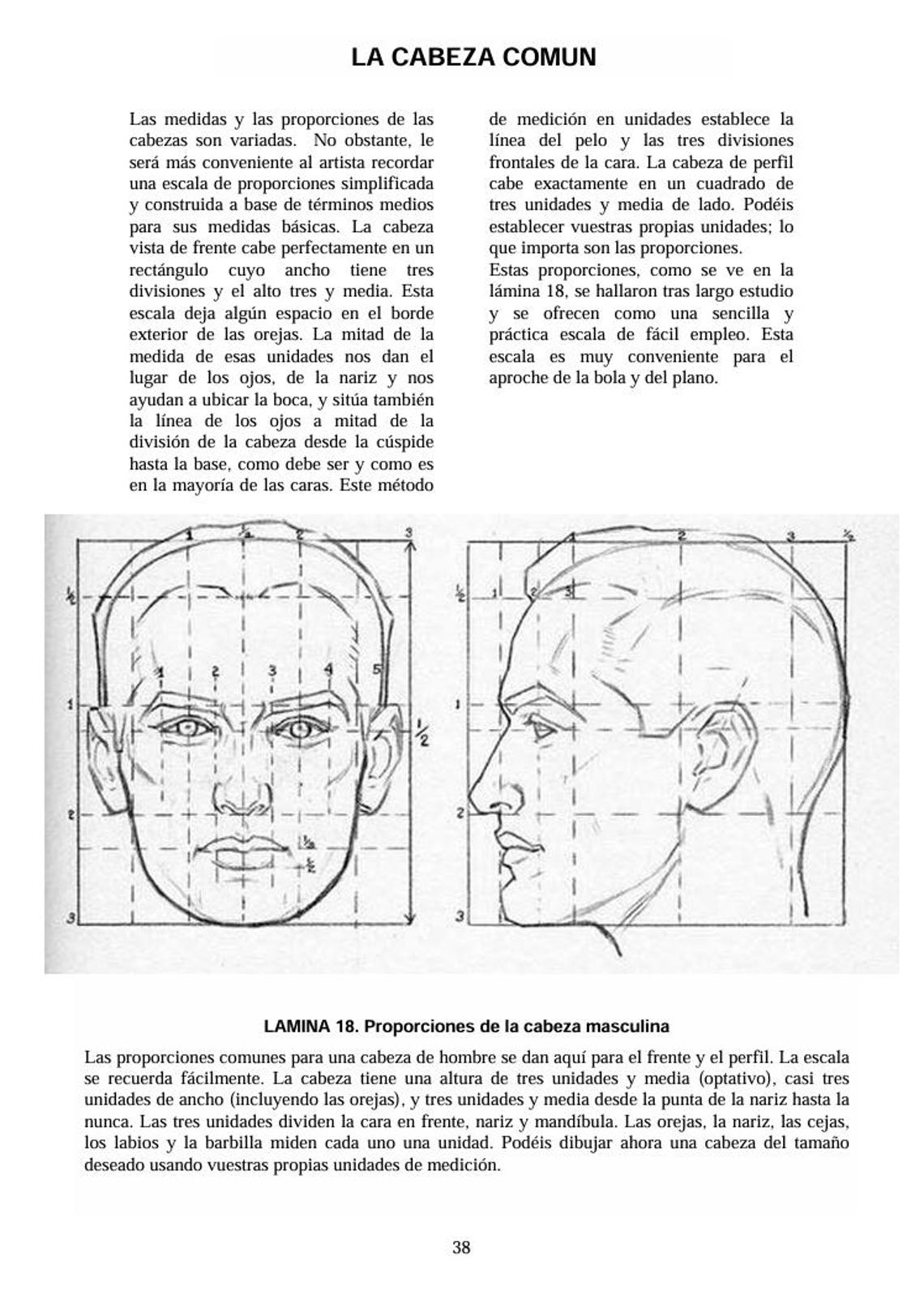 Head and Hand Drawings Andrew Loomis - Etsy