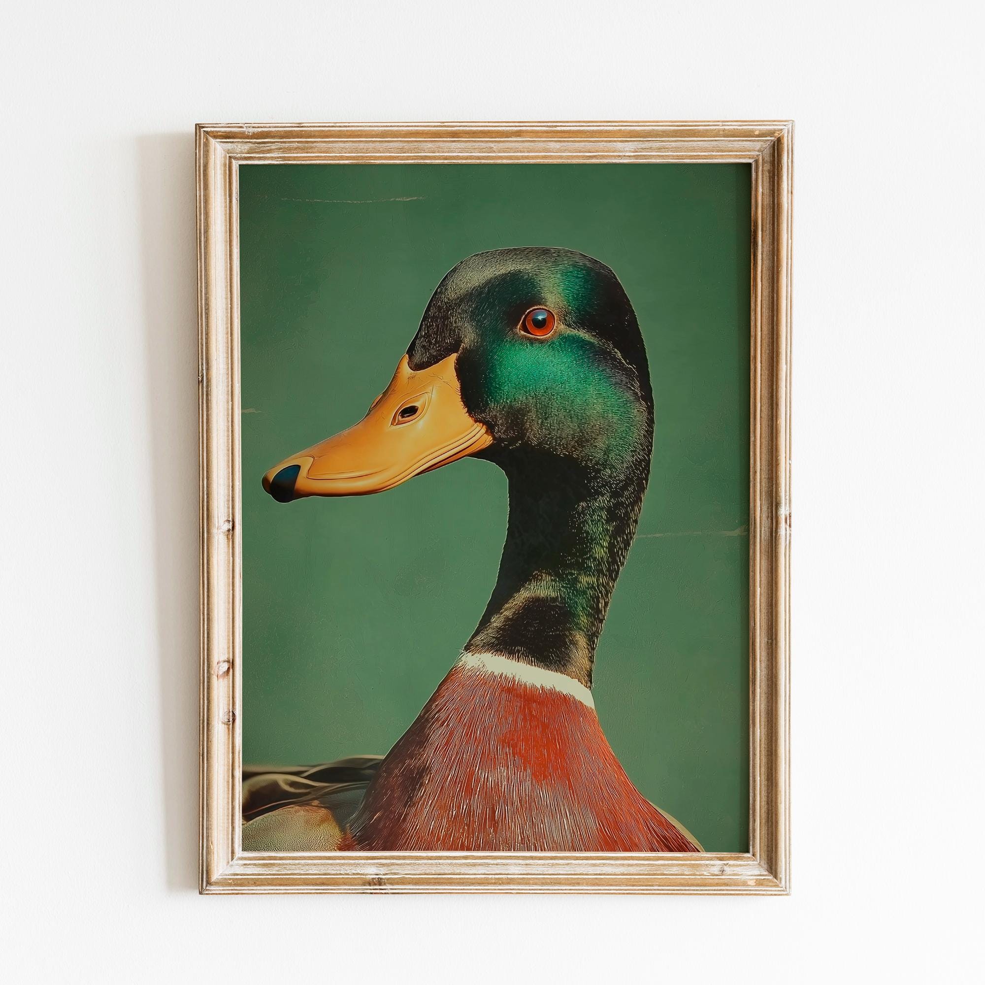 Emerald Green Mallard Duck , Vintage Mallard Duck Poster, Gift for Duck ...