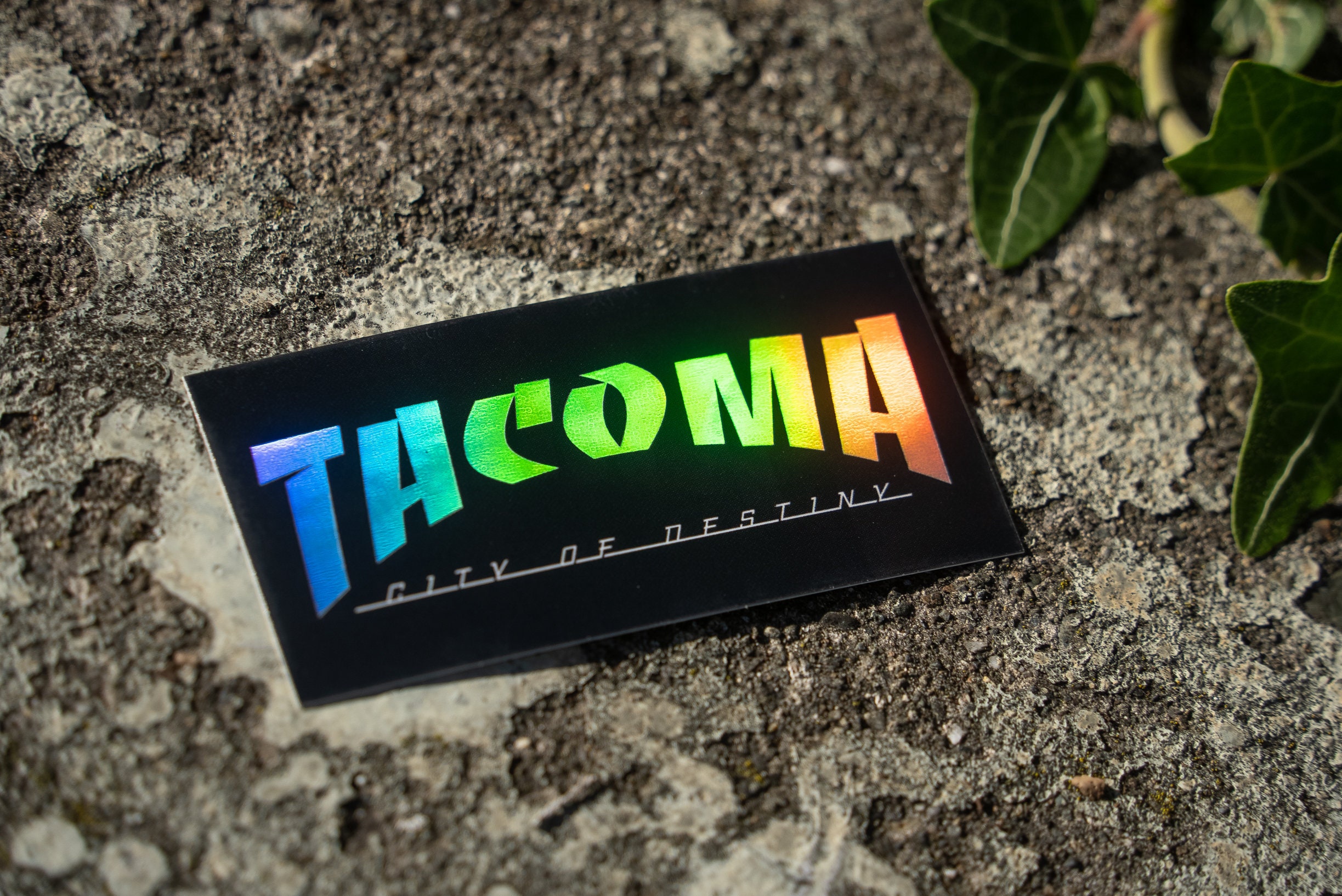 Tacoma 80's Font Design - Etsy