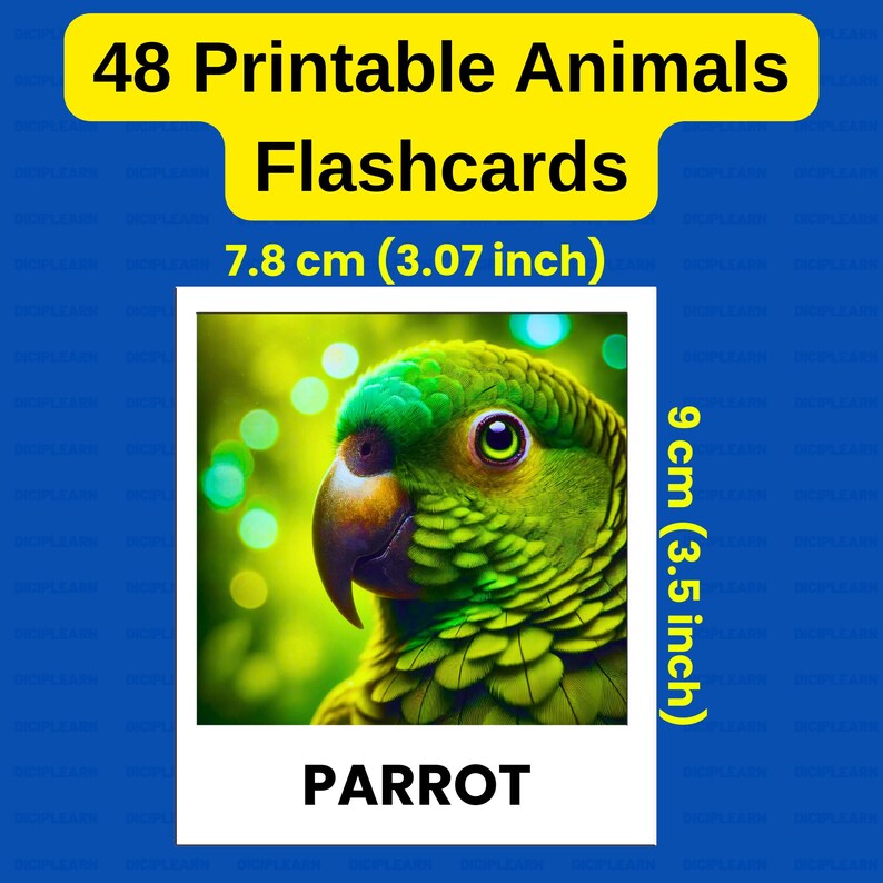 Animals Flashcards: English ESL Learning (PDF) - Etsy