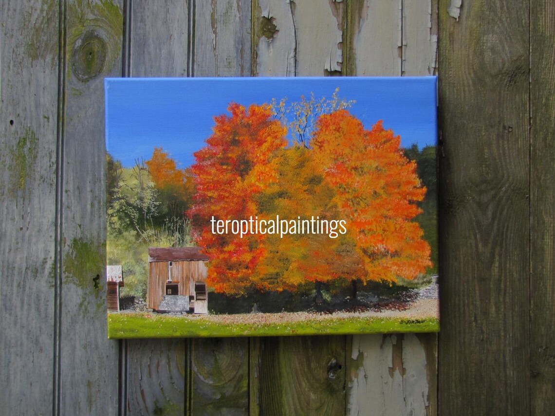 CHESTER NY - Trees of Mountain View Farm - Etsy
