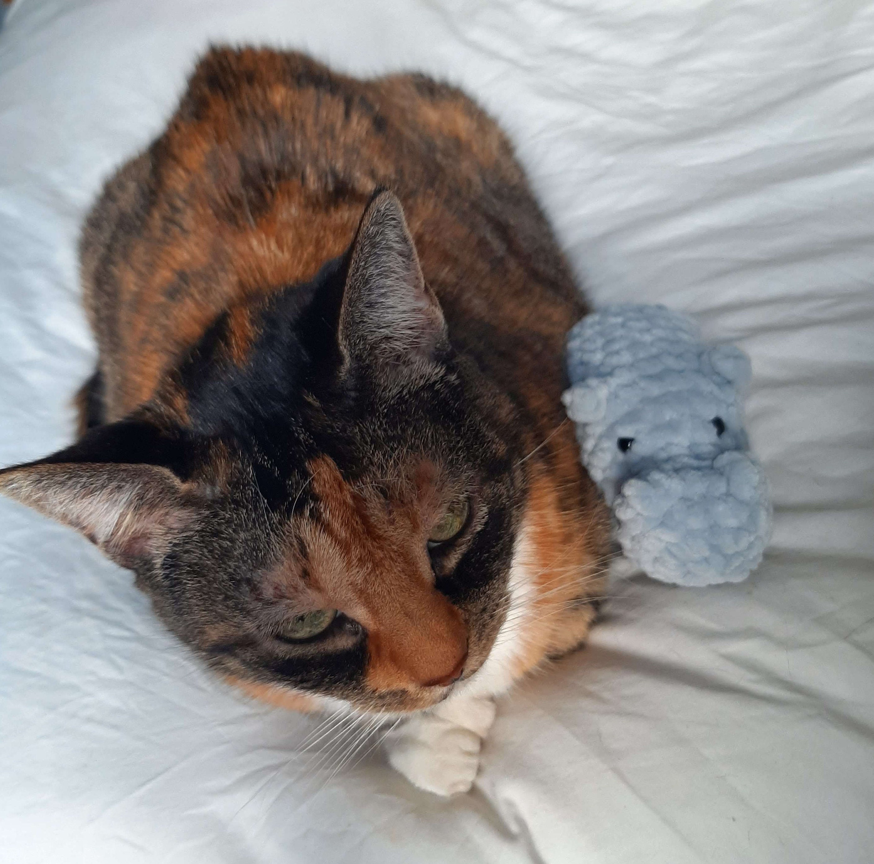 Crochet Canadian House Hippo Pattern crochet Hippo Pattern, Amigurumi ...