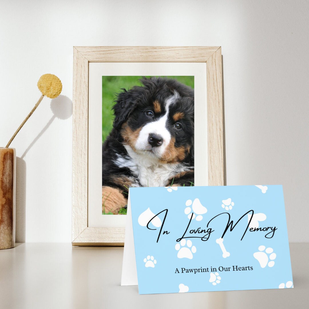 In Loving Memory: Pawprints in Our Hearts Pet Loss Sympathy Card With ...