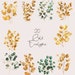 Gold Eucalyptus Clipart | Eucalyptus Greenery Clipart | Watercolor Gold ...