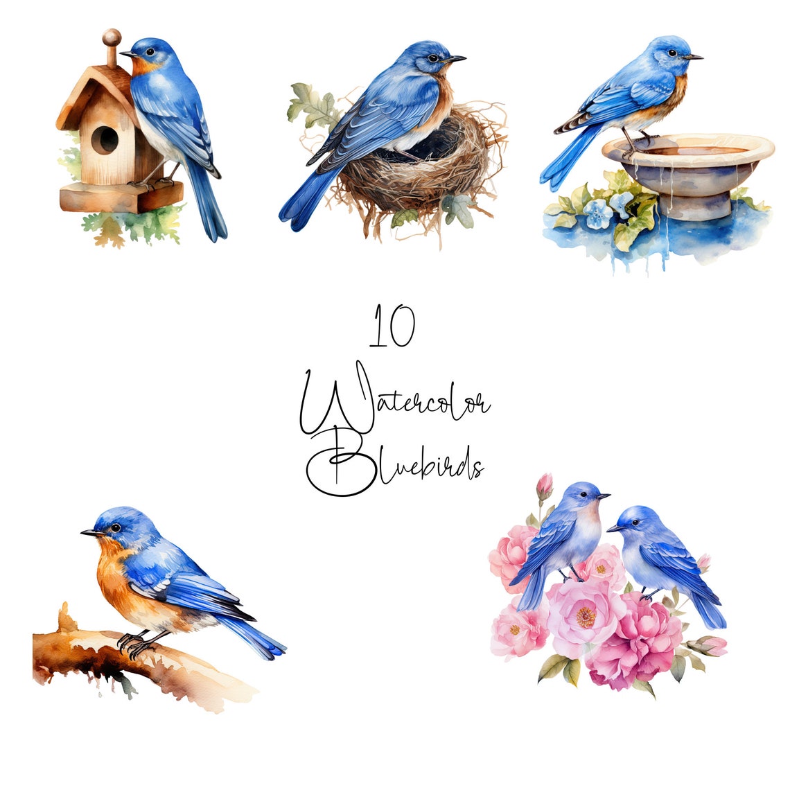 Bluebird Clipart Watercolor Watercolor Bluebird Clipart Watercolor Bird ...