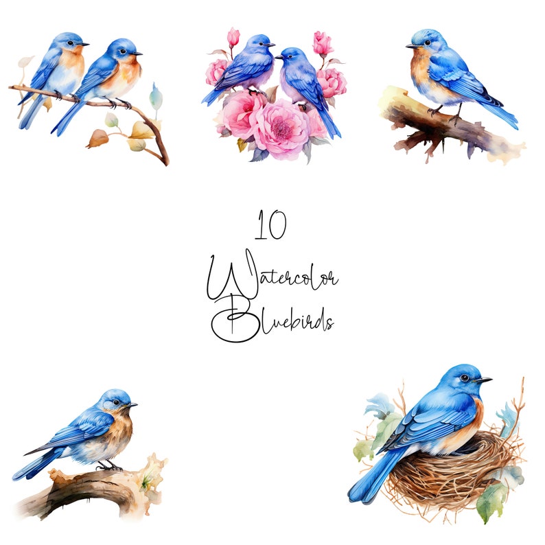 Bluebird Clipart | Watercolor Watercolor Bluebird Clipart | Watercolor ...