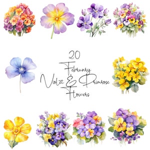 February Birth Flower Clipart Birth Month Flower Clipart Primrose ...