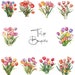 Spring Tulip Flower Clipart | Spring Tulip Clipart | Tulips Watercolor ...