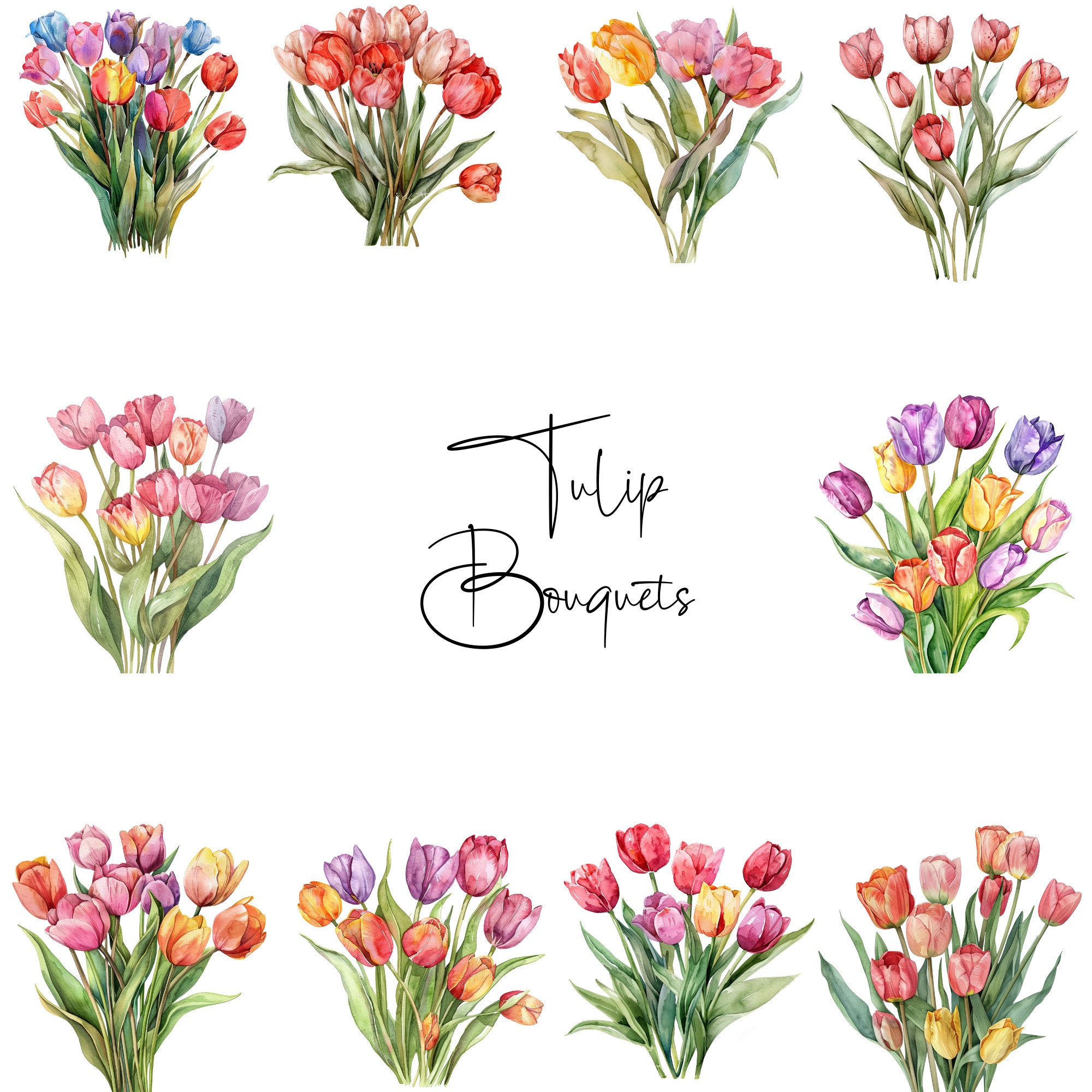 Spring Tulip Flower Clipart Spring Tulip Clipart Tulips Watercolor ...
