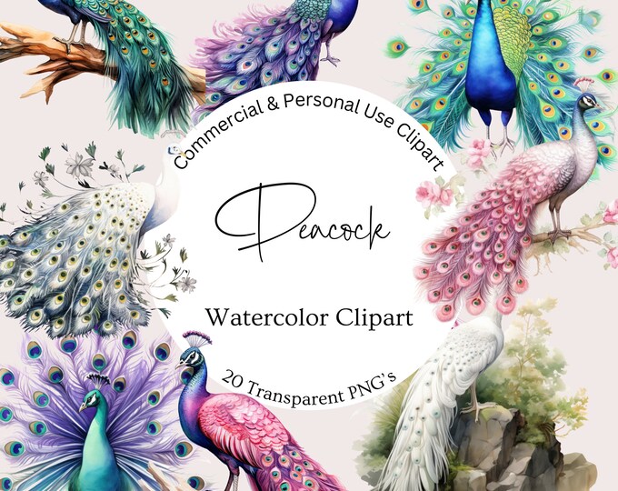 Plum Purple Peacock Feather Clip Art, Peacock Feather Graphics for ...