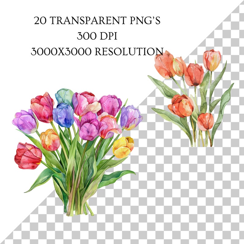 Spring Tulip Flower Clipart | Spring Tulip Clipart | Tulips Watercolor ...