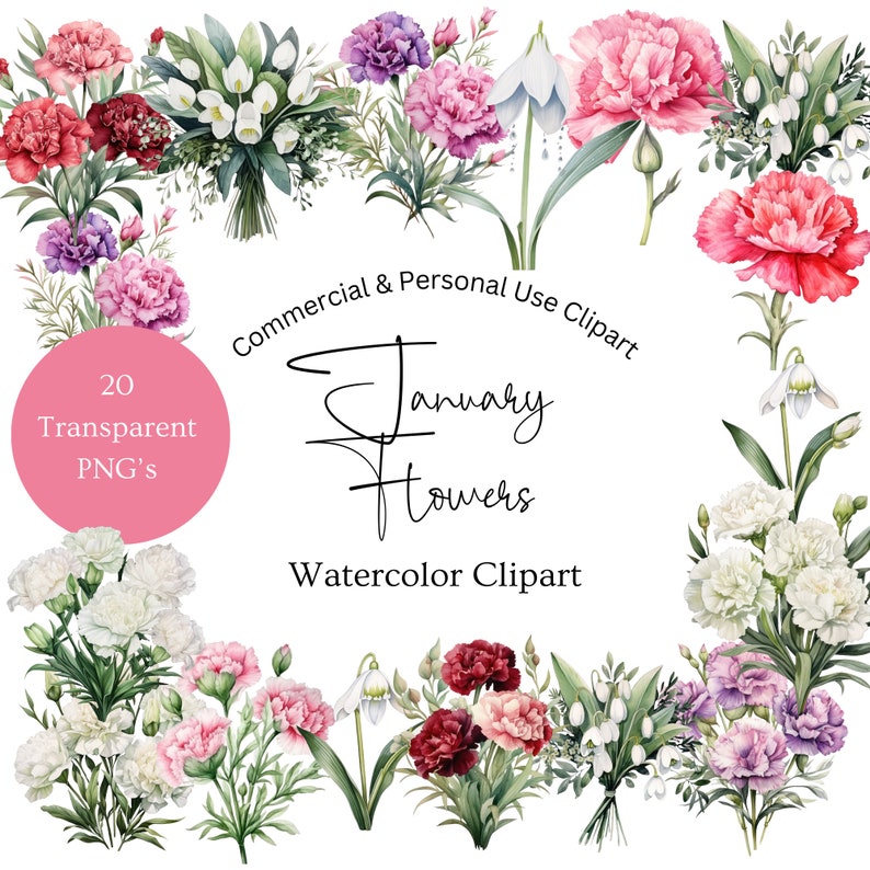 Birth Month Flower Clipart | Birth Flower Watercolor Clipart Png ...