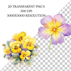 February Birth Flower Clipart | Birth Month Flower Clipart | Primrose ...