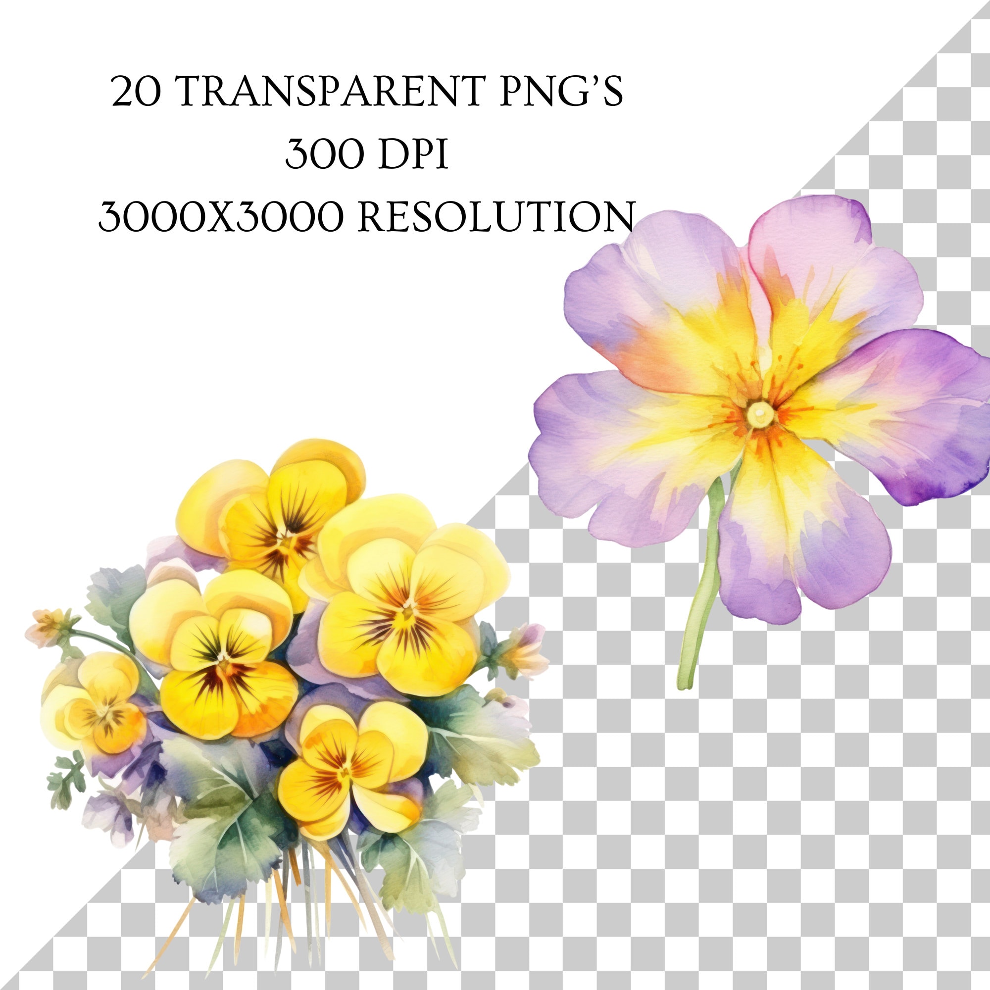 February Birth Flower Clipart | Birth Month Flower Clipart | Primrose ...