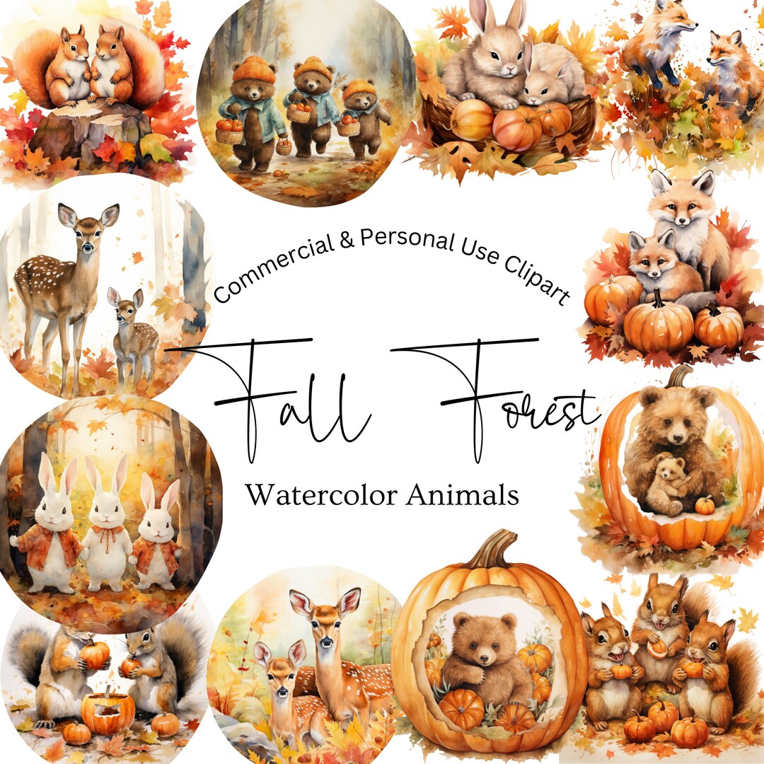 Watercolor Fall Forest Animal Clipart | Watercolor Woodland Animal ...