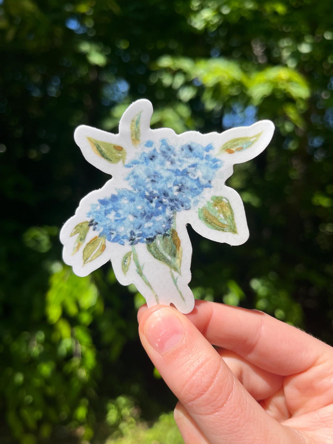 Watercolor Blue Hydrangeas Flower Sticker Hand-painted Design Nature ...