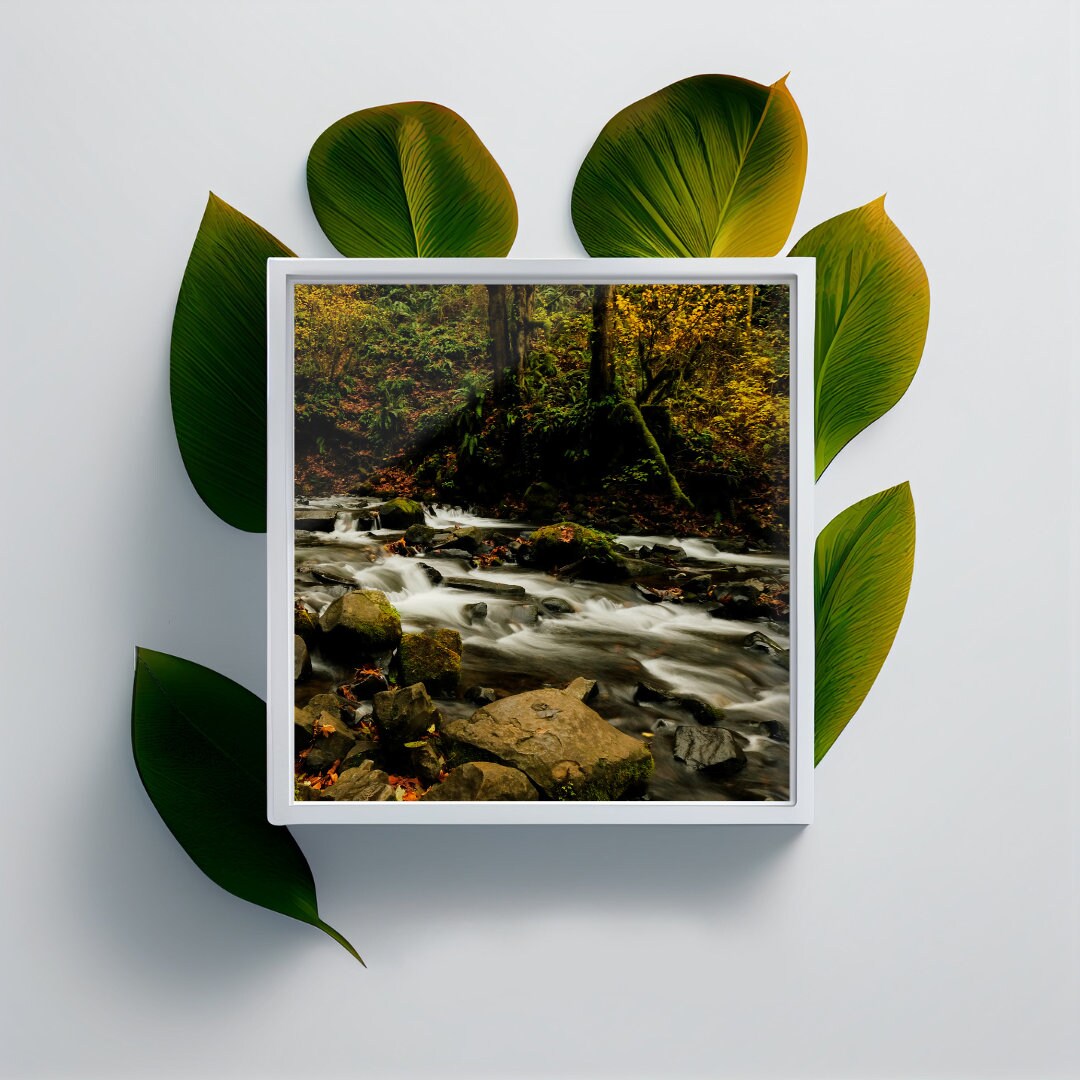 Oregon Water Stream | Ready to Print | Water Stream Landscape | Digital ...