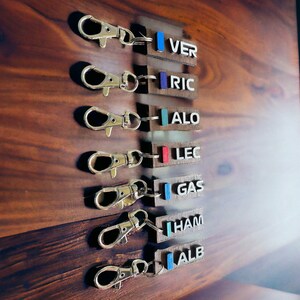 F1 Merch, F1 Keychain Charms Lewis Hamilton, Daniel Ricciardo, Bag ...