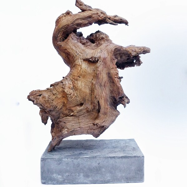 Root Sculpture - Etsy