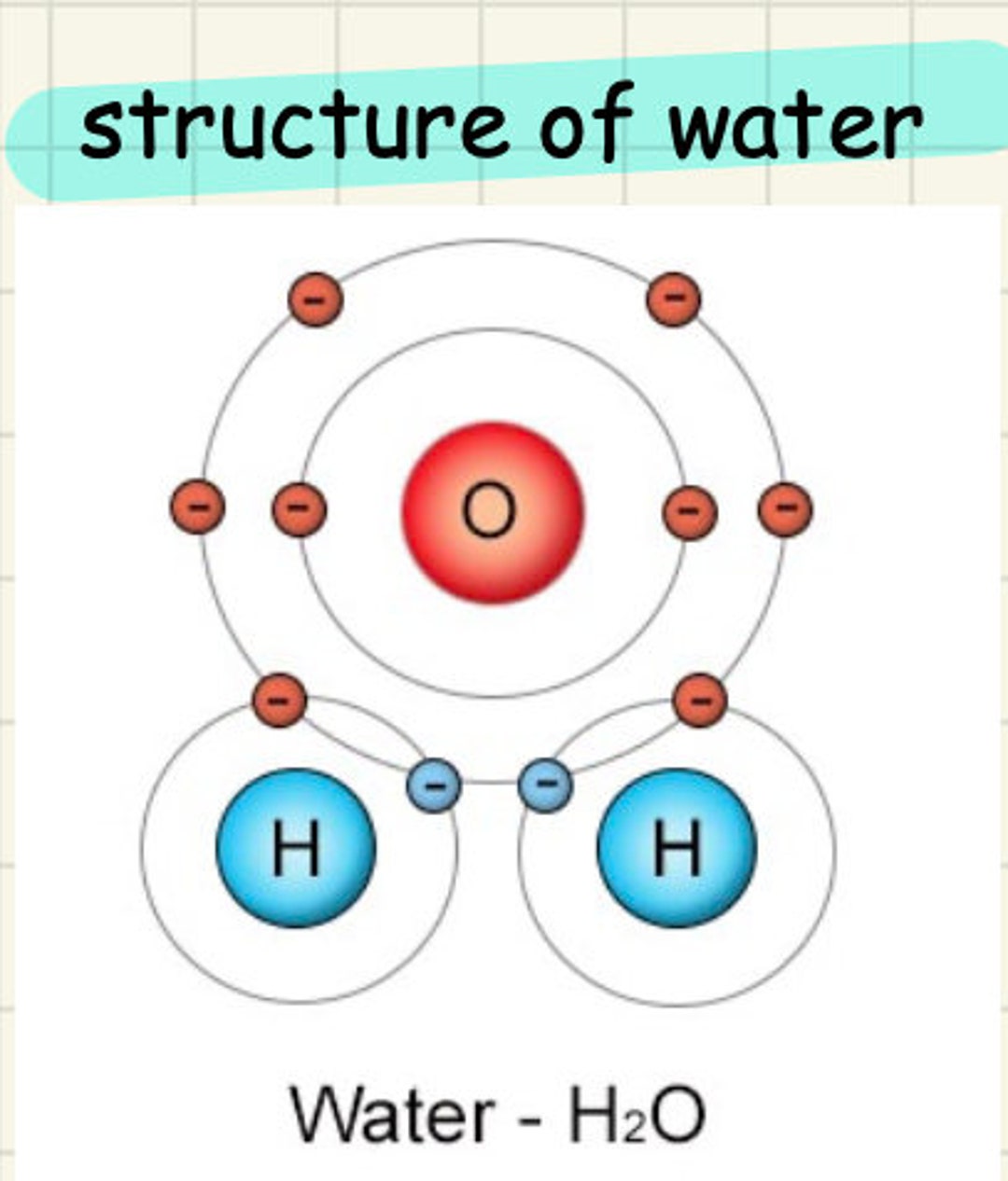 Water a Level Biology Ocr a Revision Summary Notes - Etsy