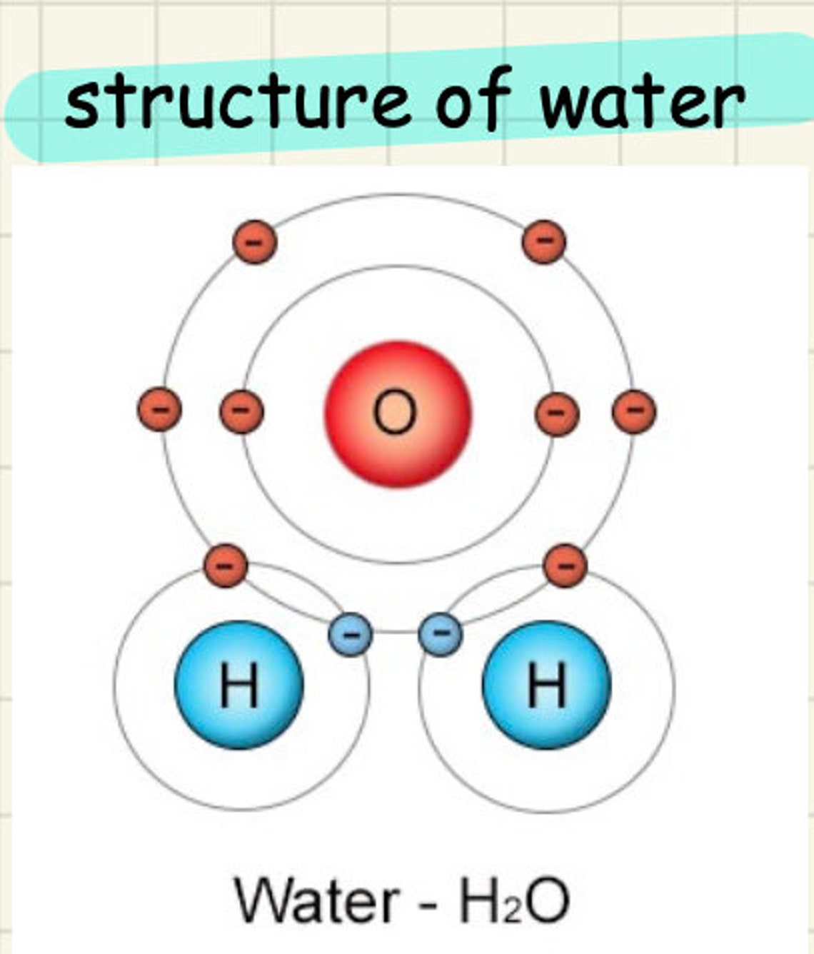 Water a Level Biology Ocr a Revision Summary Notes - Etsy