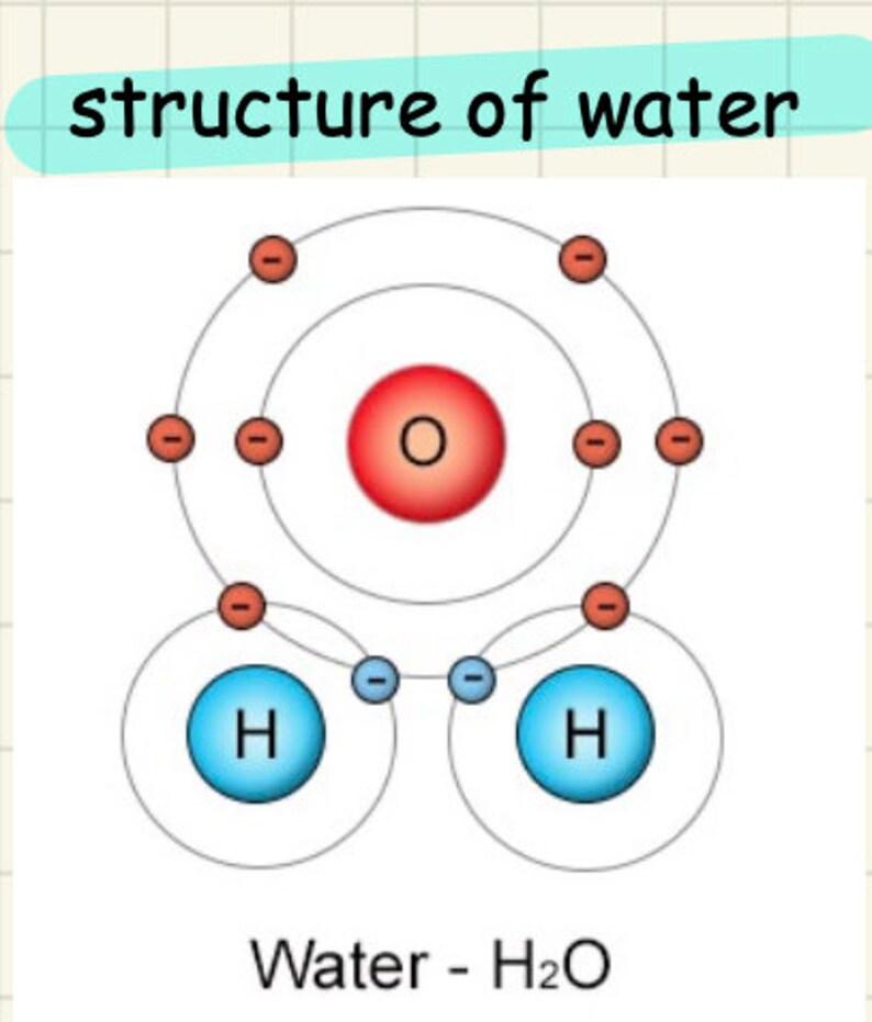 Water a Level Biology Ocr a Revision Summary Notes - Etsy