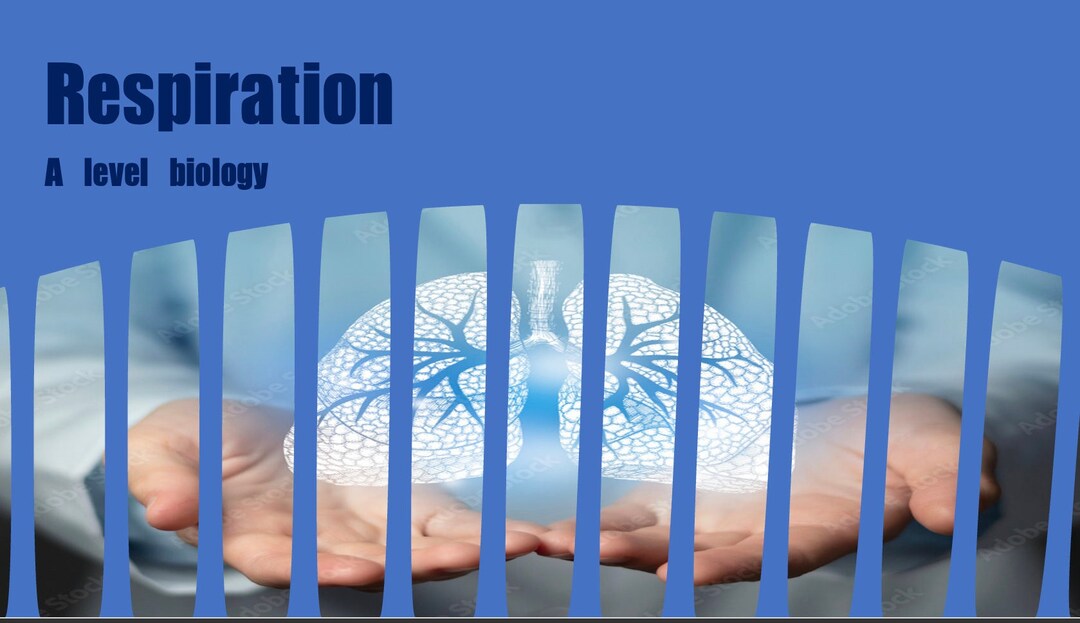 Respiration a Level Biology Ocr a Revision Notes - Etsy