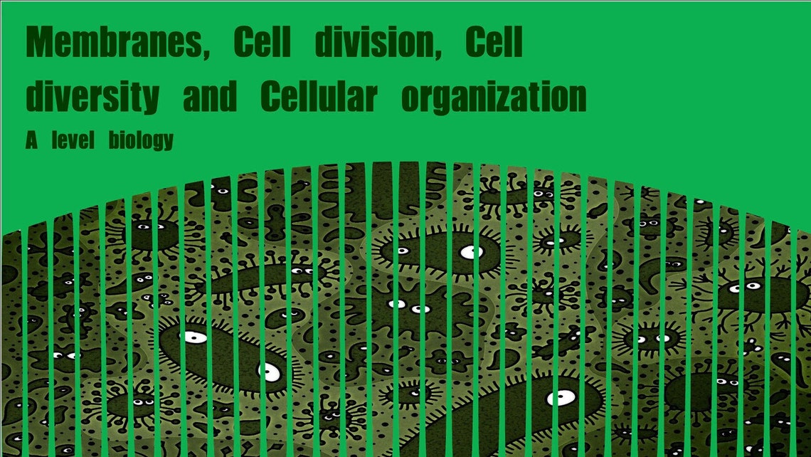 Membranes, Cell Division, Cell Diversity and Cellular Organisation ...