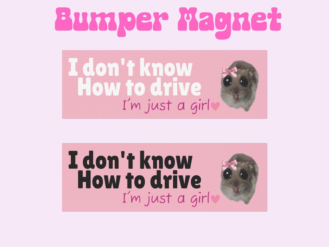 Sad Hamster Bumper Magnet, Funny Car Magnet, Coquette Magnet, I Don't ...