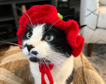 Ruffle Bonnet Crochet Handmade Pet Hat for Cat, Dog, Bunny Accesories ...