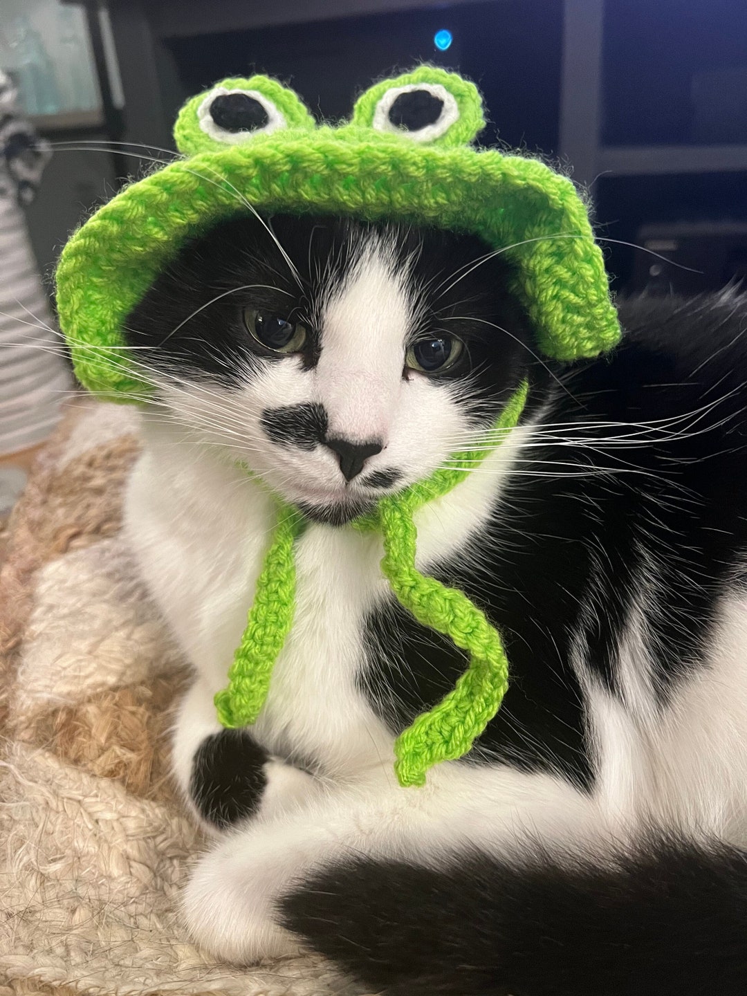 Frog Bucket Crochet Handmade Pet Hat for Cat, Dog, Bunny Accesories and ...