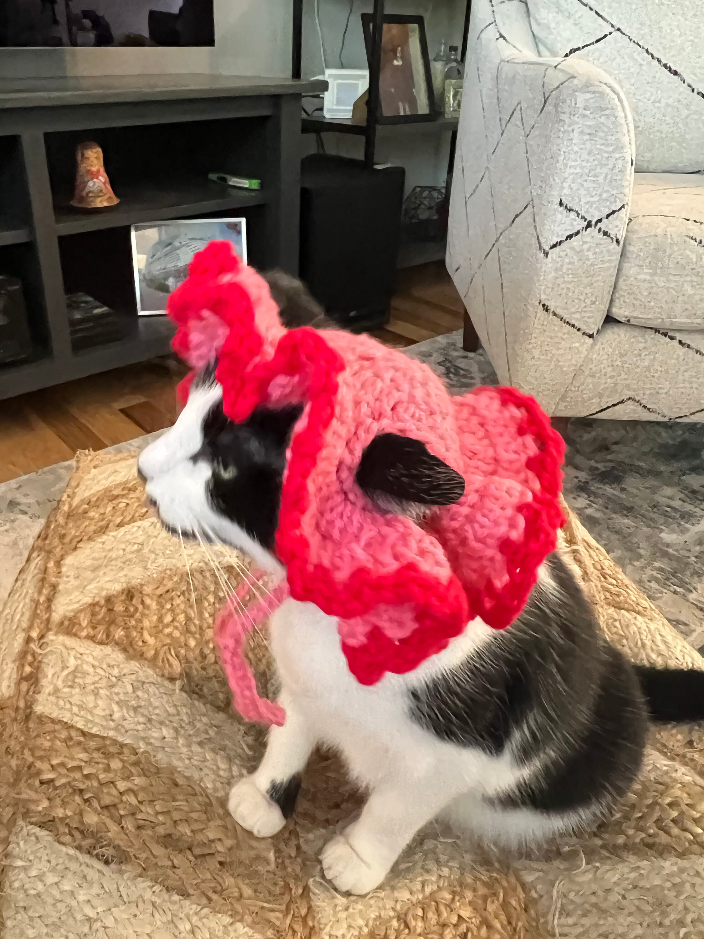 Ruffle Bonnet Crochet Handmade Pet Hat for Cat, Dog, Bunny Accesories ...