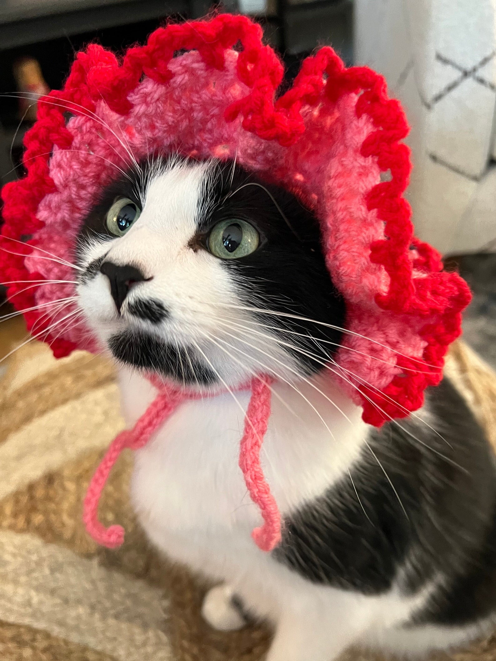 Ruffle Bonnet Crochet Handmade Pet Hat for Cat, Dog, Bunny Accesories ...