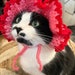 Ruffle Bonnet Crochet Handmade Pet Hat for Cat, Dog, Bunny Accesories ...