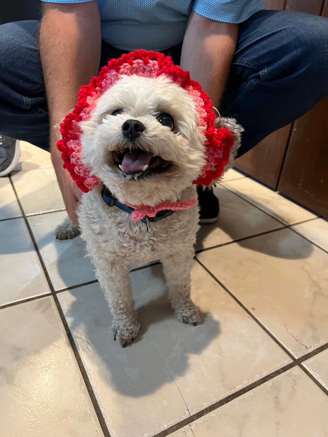 Ruffle Bonnet Crochet Handmade Pet Hat for Cat, Dog, Bunny Accesories ...