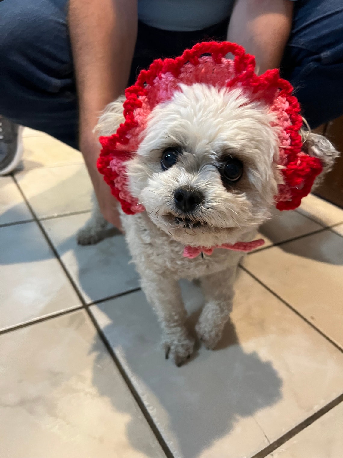 Ruffle Bonnet Crochet Handmade Pet Hat for Cat, Dog, Bunny Accesories ...