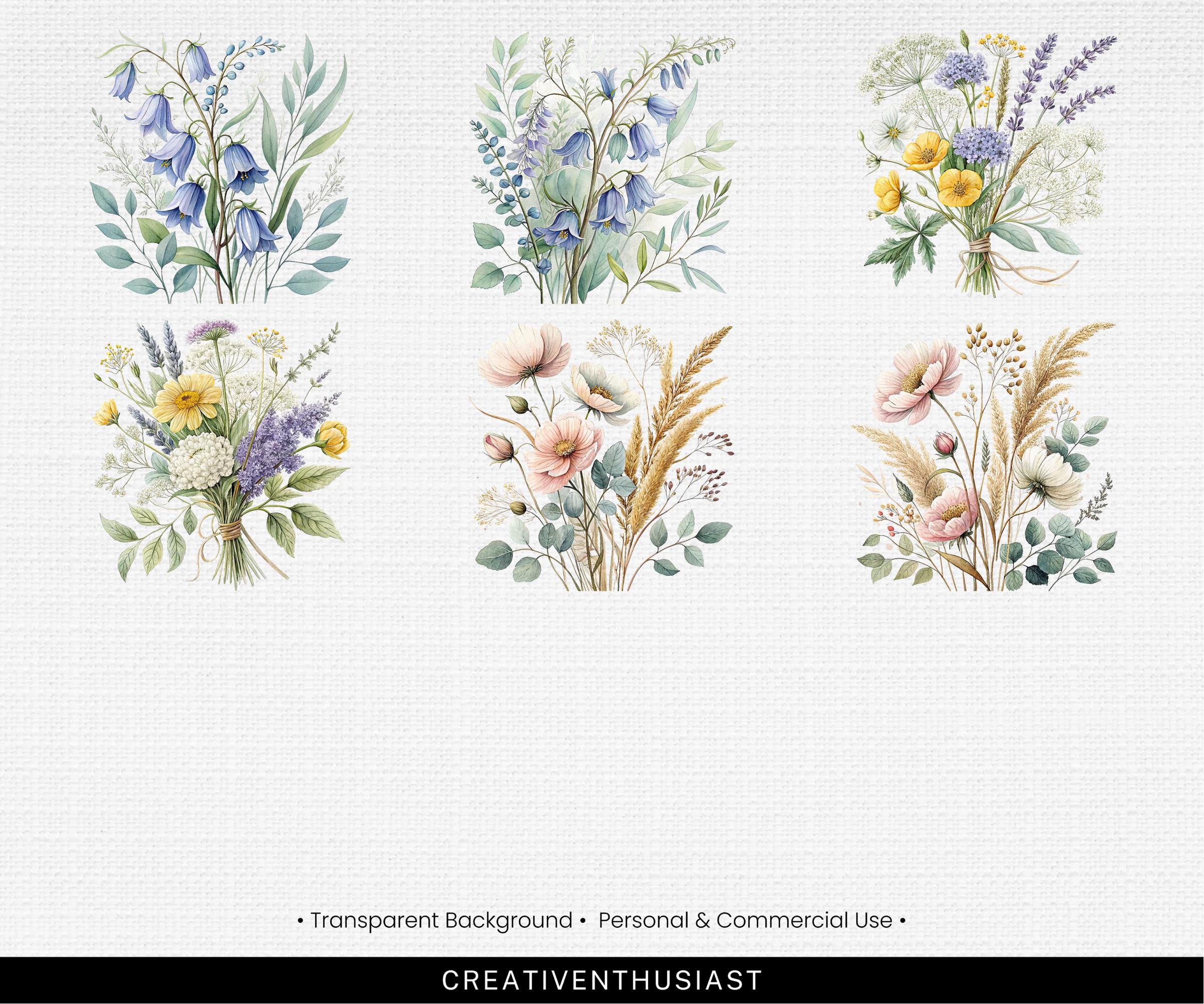 24 Watercolor Wildflower Clipart Set: Transparent PNG Floral Images ...