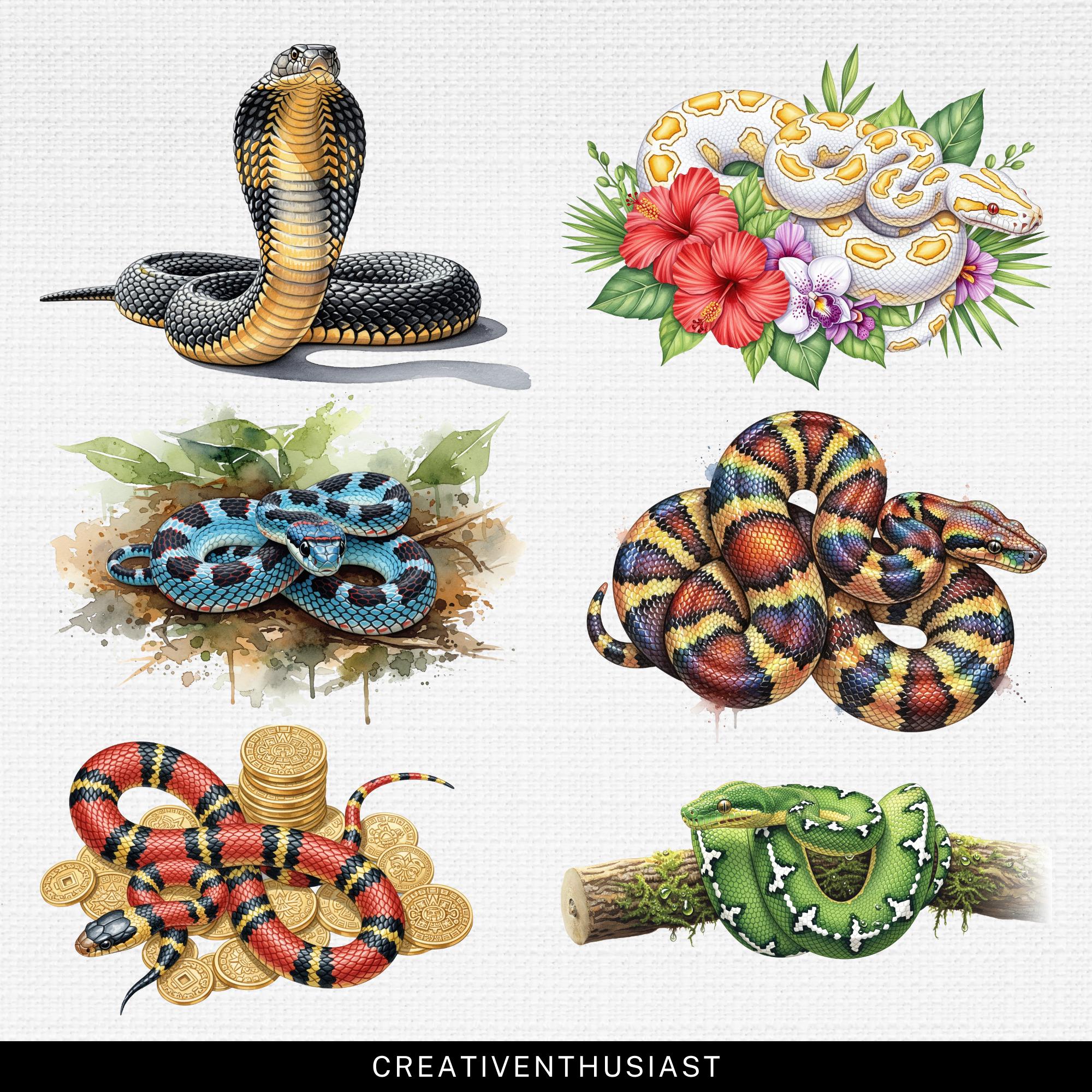 14 Colorful Snake Clipart, Reptile PNG Graphics (digital Download) - Etsy