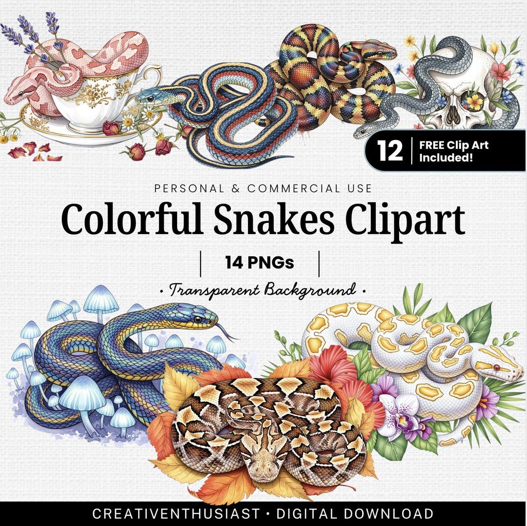 14 Colorful Snake Clipart, Reptile PNG Graphics (digital Download) - Etsy