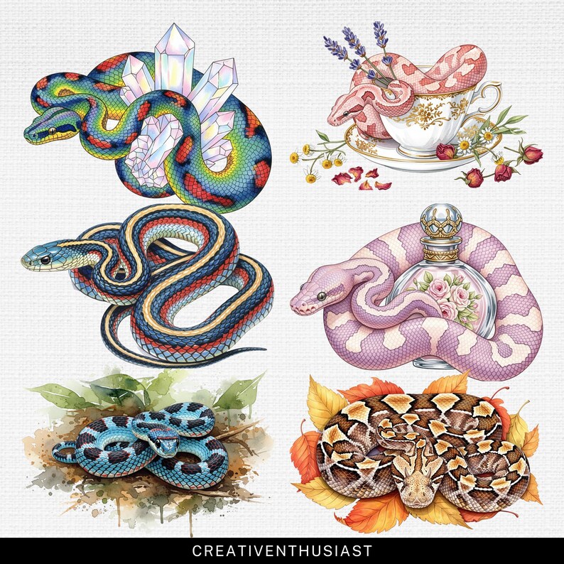 14 Colorful Snake Clipart, Reptile PNG Graphics (digital Download) - Etsy