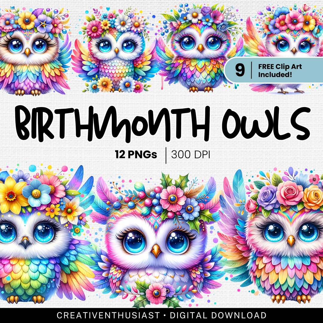 Cute Owl Clip Art Bundle Colorful Monthly Owls Download Digital ...