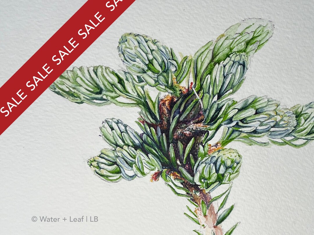 Hand-painted Tree Branch Watercolor: Nature-inspired Original Art for ...