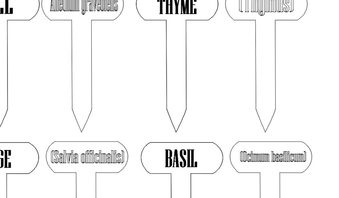 24 Herb Identification Tags With Latin Names (DIGITAL FILE) - Etsy